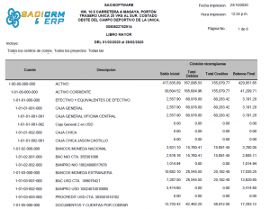 Software de Contabilidad - ERP tropicalizado para Nicaragua